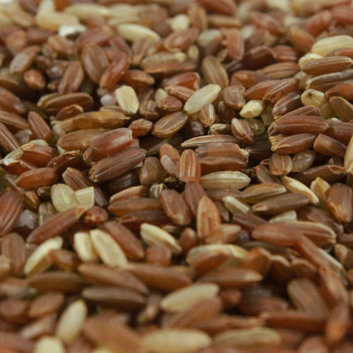 Uttarakhand Red Rice, Lal Chawal | Pure, Organic & Original | GiTAGGED